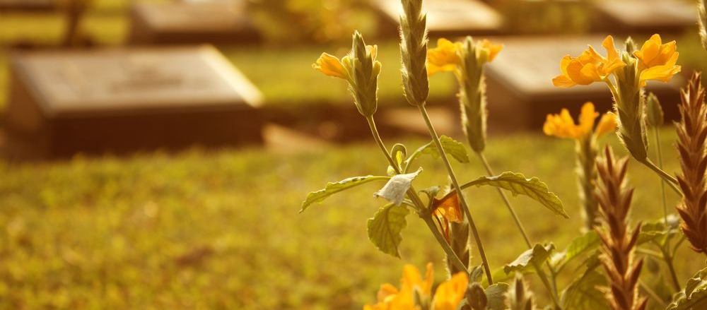 How is the Needle moving on these 2 Funeral Operators - PFP, IVC? | Kalkine